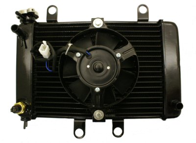 Radiator / Cooling Parts > Adult Go Kart 250cc - 300cc > Extreme Motor ...