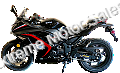Boom BD250-5 Motorcycle | 250cc Fuel-Injected | California Approved 6 ...