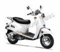 Wolf Islander 50cc Scooter - Extreme Motor Sales- Orlando Florida ...