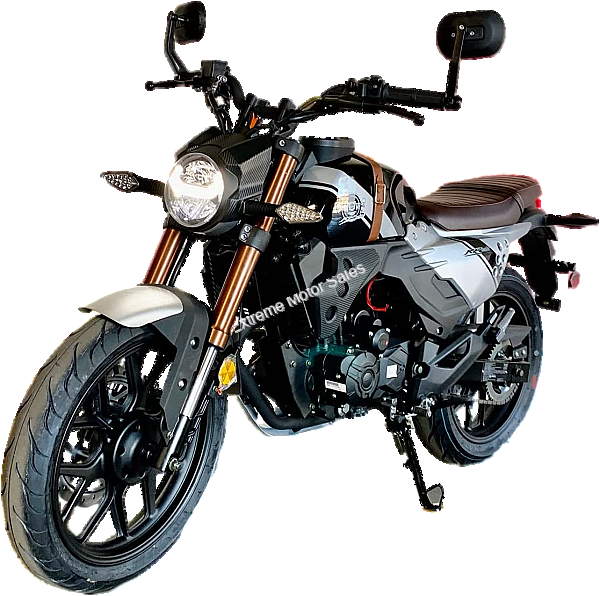 Lifan KPM200 Fuel-Injected Motorcycle | KP Master 200 | LF200-3B ...