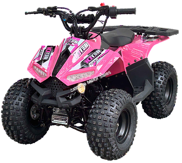 Vitacci RXR-110 Kids 110cc ATV Fully Automatic 4 Wheeler Utility > Kids ...