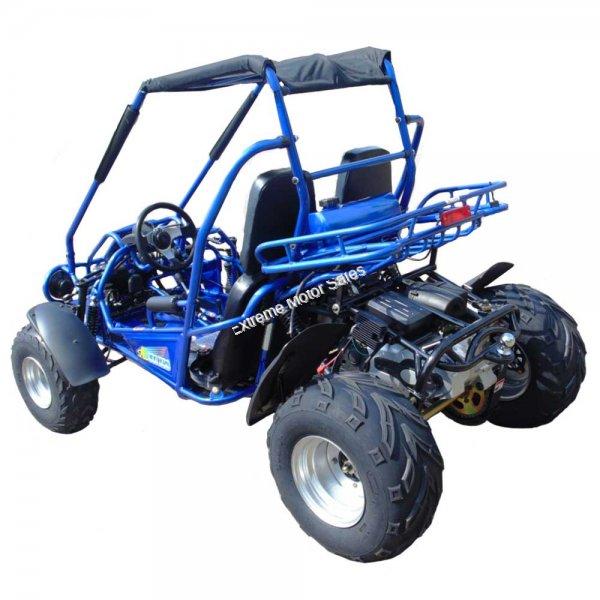 Trailmaster 300 XRSE EFI Go Cart Kart Dune Buggy 300cc Liquid Cooled ...