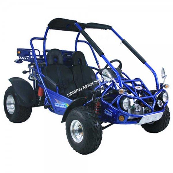 Trailmaster 300 XRX-E EFI Go Cart Go Kart Dune Buggy 300cc Adult Size ...