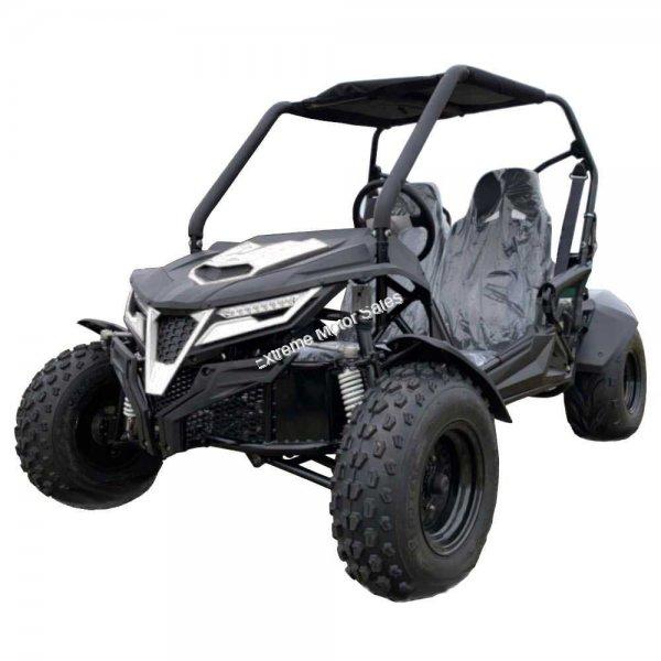 TrailMaster Cheetah 200E EFI Go Cart Kart CVT Auto w/ Reverse > UTV|SXS ...