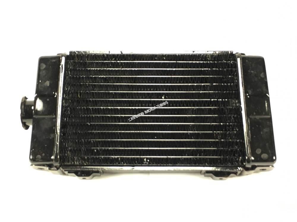 Tank Vision R3 250cc Motorcycle Radiator > Cooling > Extreme Motor ...