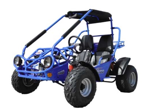 Trailmaster 150 XRS Go Cart Go Kart Dune Buggy 150cc Adult Size