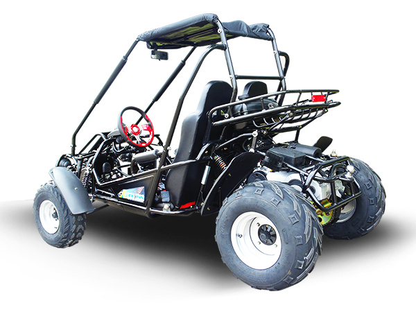 Trailmaster 300 XRS Go Cart Go Kart Dune Buggy 300cc Liquid Cooled