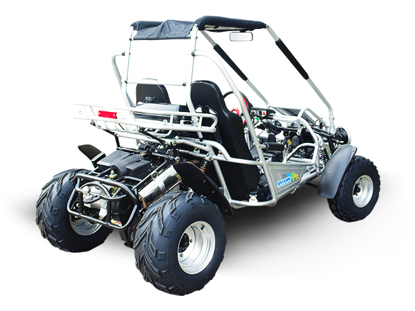 Trailmaster 300 XRS Go Cart Go Kart Dune Buggy 300cc Liquid Cooled