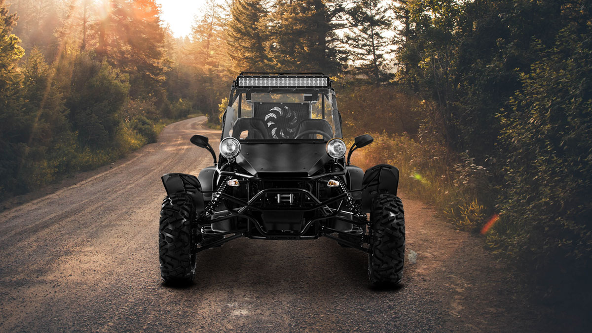 BMS V-TWIN 800cc Dune Buggy, Automatic with Reverse, 2WD/4WD Switchable ...