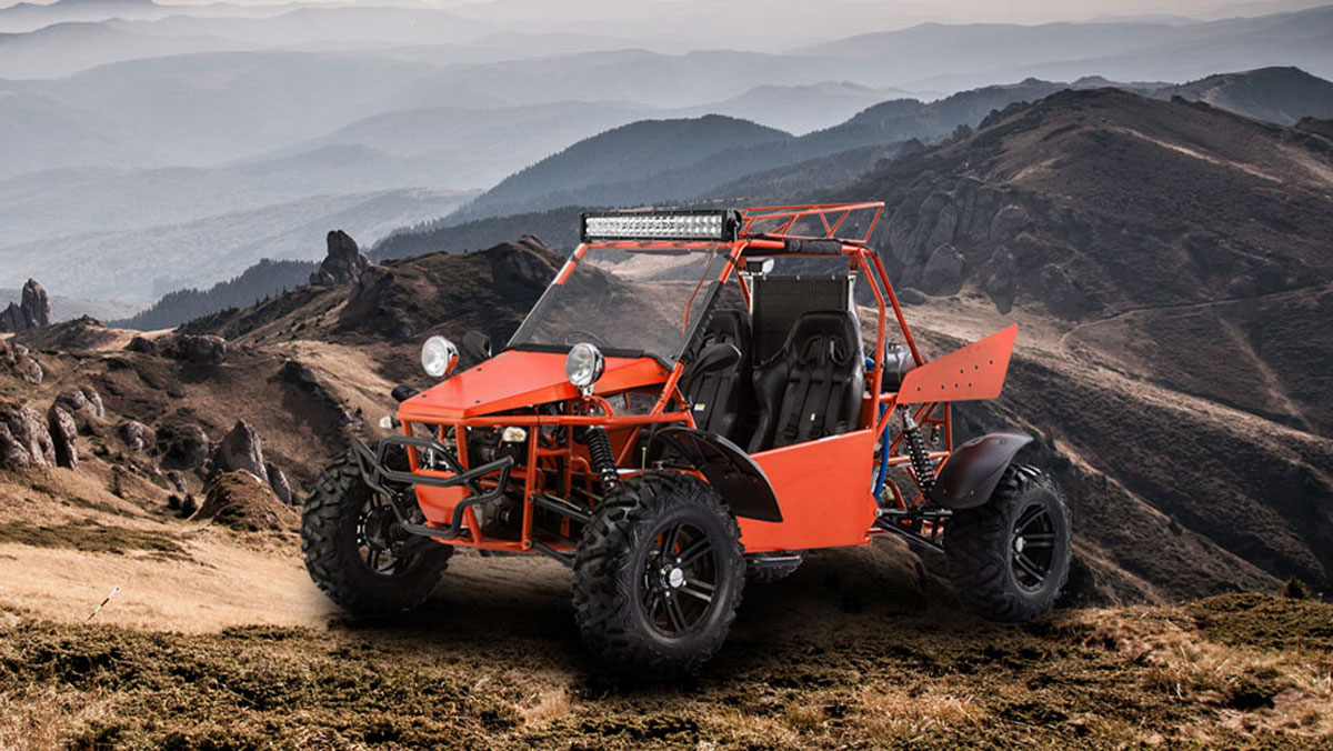 BMS V-TWIN 800cc Dune Buggy, Automatic with Reverse, 2WD/4WD Switchable ...