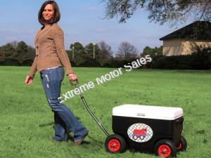 Motorized Ice Chest