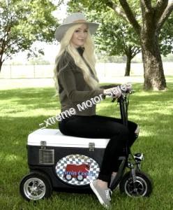 Motorized Ice Chest