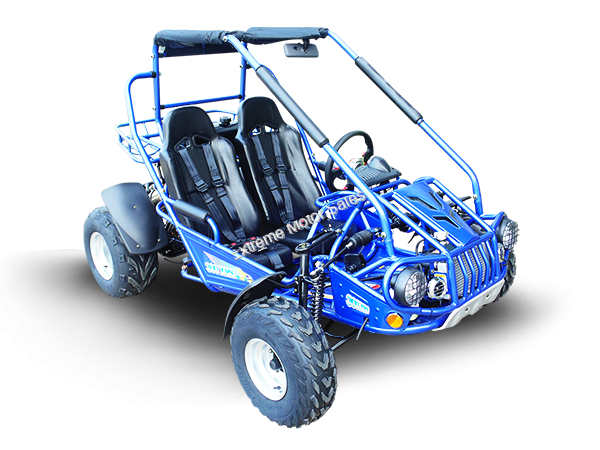 Trailmaster 300 XRSE EFI Go Cart Kart Dune Buggy 300cc Liquid Cooled ...