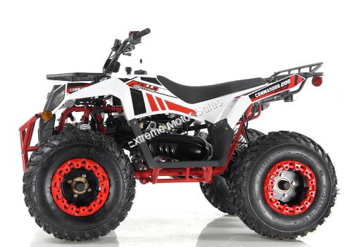 Apollo Commander 200cc ATV Automatic w/Reverse 4 Wheeler Quad Utility ...