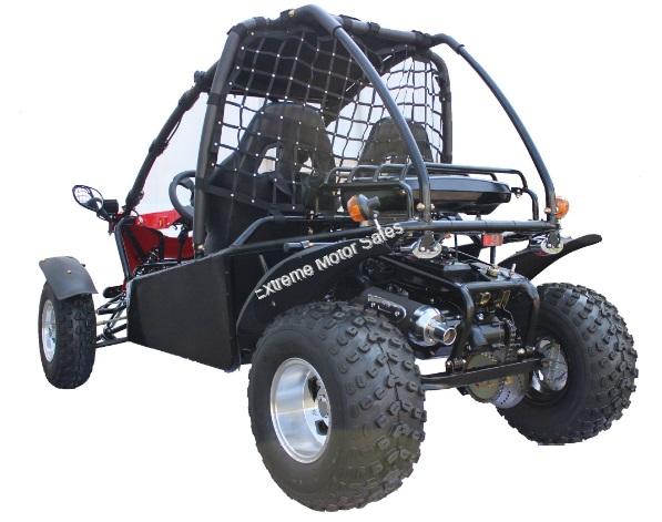 Adult Off Road Buggies
