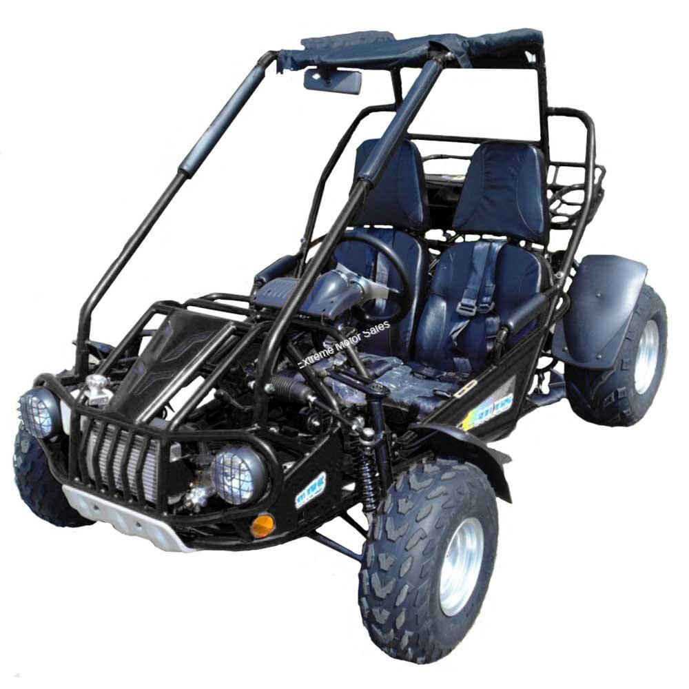 Trailmaster 300 XRSE EFI Go Cart Kart Dune Buggy 300cc Liquid Cooled ...